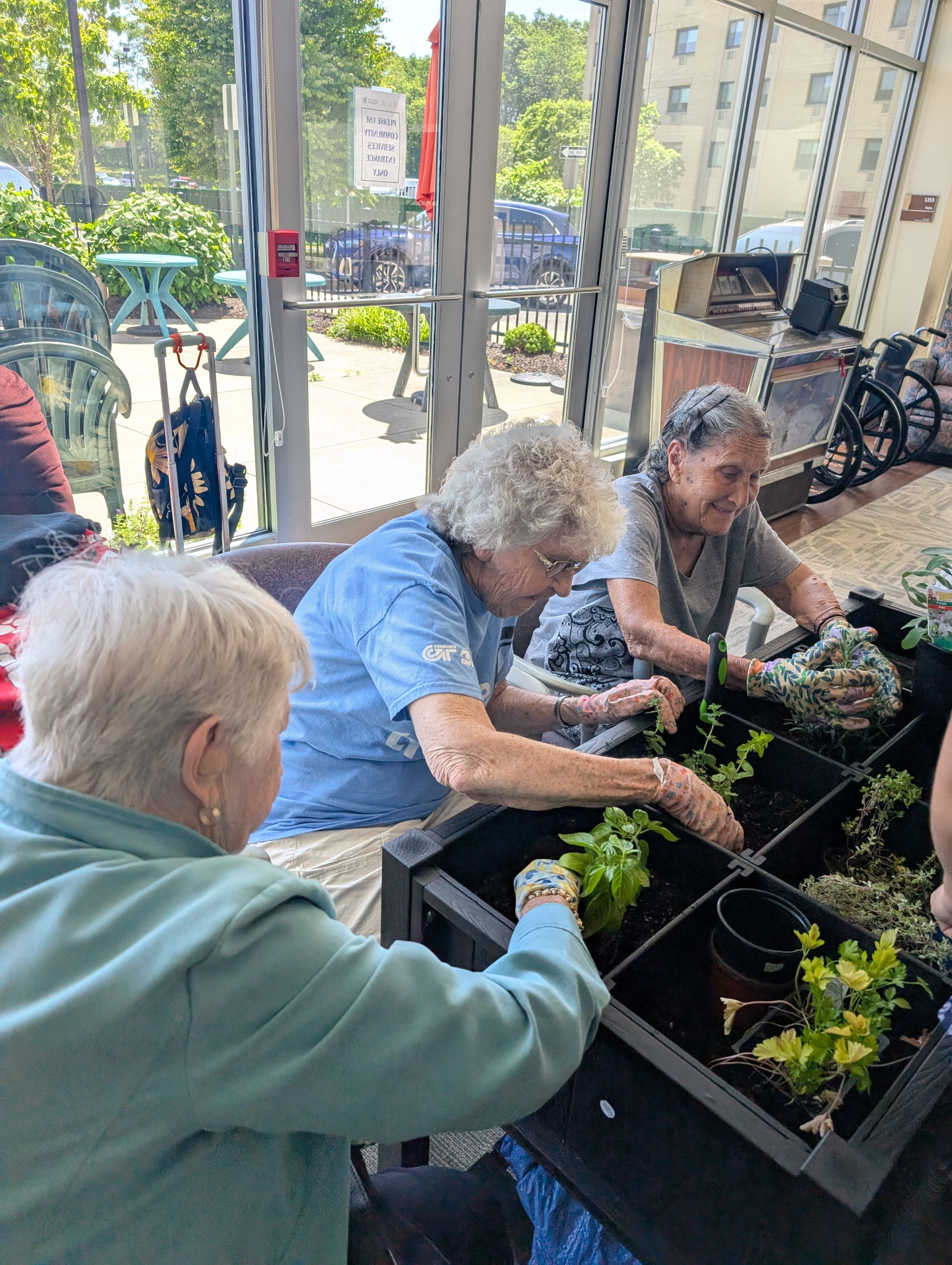 Adult Day Programs in Bridgeport, CT | Day Activities for Seniors